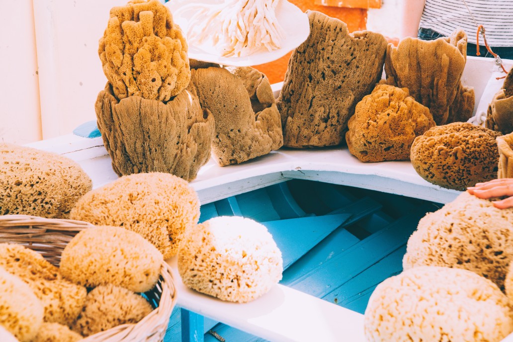 L’éponge de mer: toutes ces utilisations dans notre quotidien